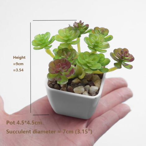 Mini plantes succulentes vertes artificielles, faux bonsaï avec pots ...