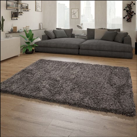Paco Home Tapis Shaggy Tapis De Salon Shaggy Poil Long Motif Monochrome Moderne 60x90 cm, Anthracite