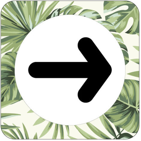 PLAQUE DE PORTE DESIGN SPHERE FLECHE VERS LA DROITE .- Honey