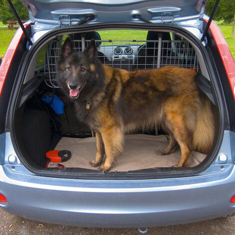 Porta cani per auto - Rete - Regolabile - Montaggio a terra