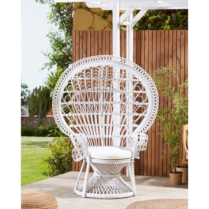 Wicker peacock chairs store