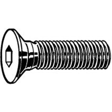 25 Vis BTR Inox A2 6 pans creux Tête Fraisée 6 x 10 mm