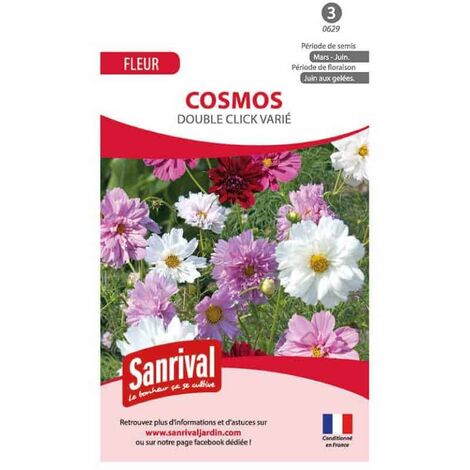 Graines de cosmos double