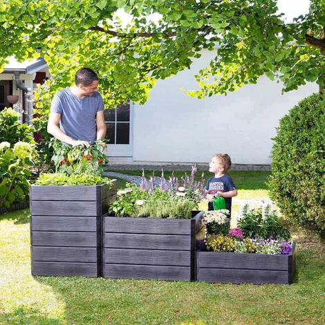 Carr Potager En Hauteur