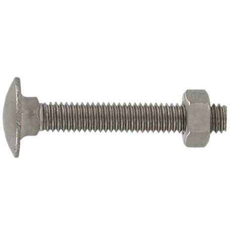 Bullone a testa tonda 6x70 mm in acciaio inox A2 con collare quadrato ...