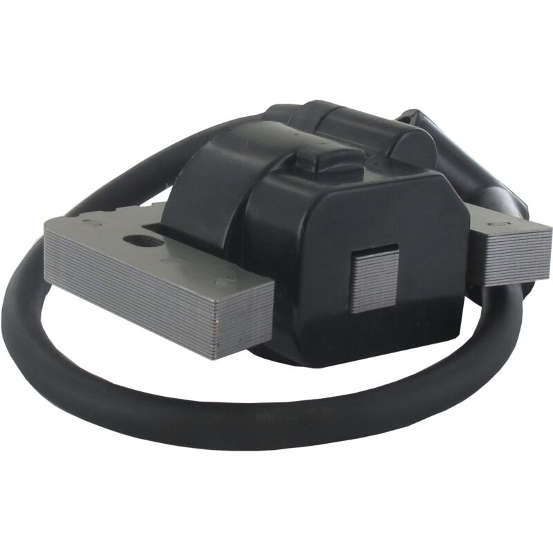 Bobine d'allumage adaptable pour TECUMSEH. Remplace origine 37395.