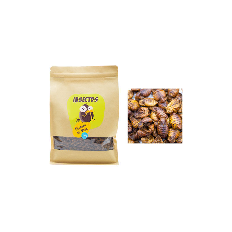 Gusanos de Seda Deshidratdos 100g– Alimento Complementario para Aves ...