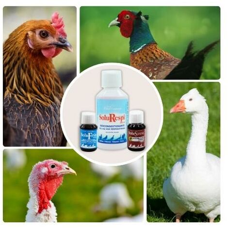 Pack contra el Resfriado en Ave SoluRespi (250 ml), SoluFrío (100 ml) y SoluStress (100 ml ...