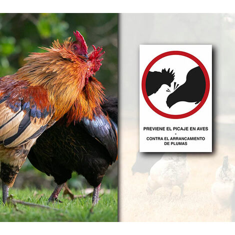 SoluPicaje - Reduce el picaje en gallinas, Palomas y palmípedas - Producto líquido 100% Natural ...