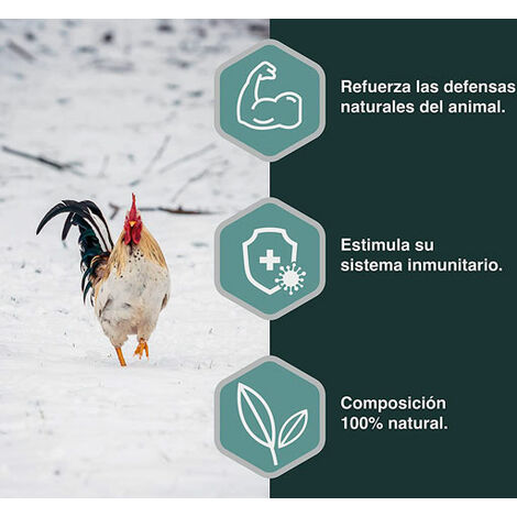 Vitaminas para reforzar Las defensas de los Animales en Invierno - SoluFrío estimula el Sistema ...