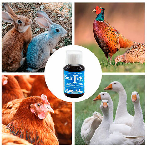 Vitaminas para reforzar Las defensas de los Animales en Invierno - SoluFrío estimula el Sistema ...
