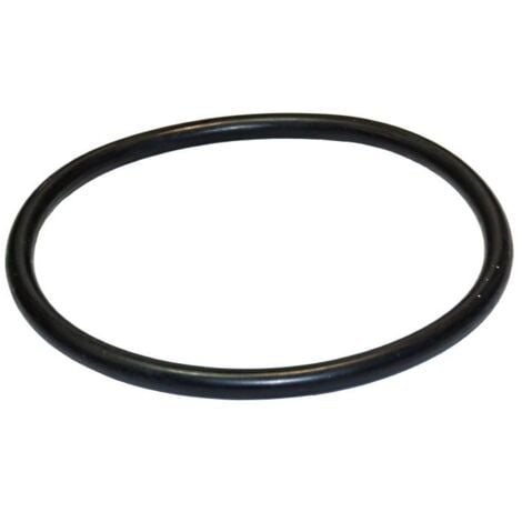 Saci Pumps O-ring prefiltro pompa Optima (97,8 x 5,34)