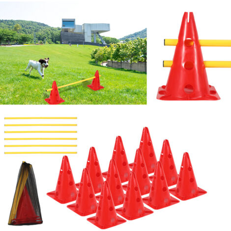 SWANEW Ensemble de 12 haies amovibles pour entraînement, haies ...