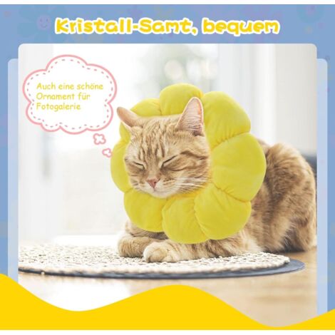 Adjustable Cat Collar Anti-lick Collar Protective Cat Collar After ...