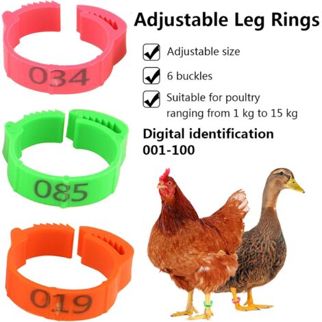 100PCS Bird Leg Rings, Chicken Leg Rings, 001-100 Numbered Bird Leg ...