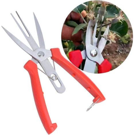 Stainless Steel Forge Apple Tree Pear Tree Scissors Double Mouth ...