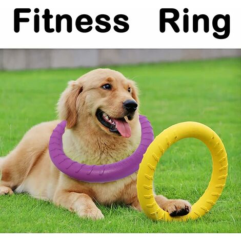 Dog Fitness Ring, Dog Bite Ring, Dog Agility Exercise Equipment ...