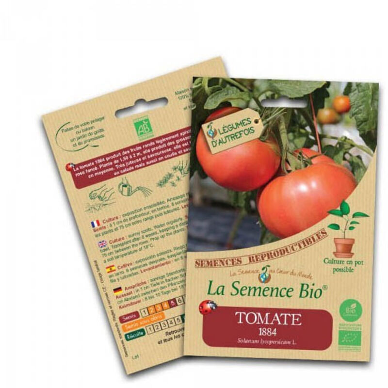 Graines Bio - Tomate 1884 - Semence biologique