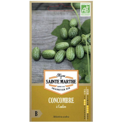 Concombre à Confire - 20 graines - AB - La ferme Sainte Marthe