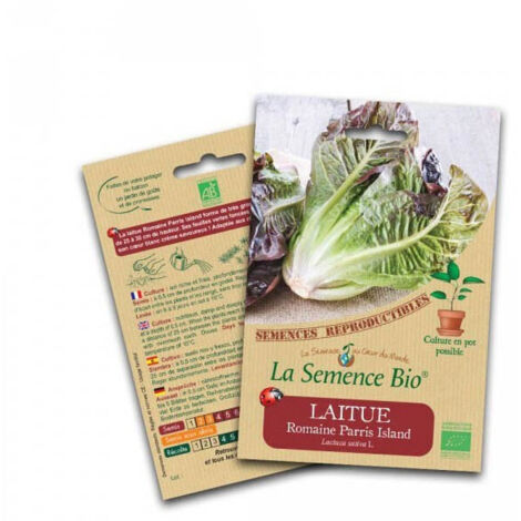 Graines Bio - La laitue romaine parris island - Semence biologique