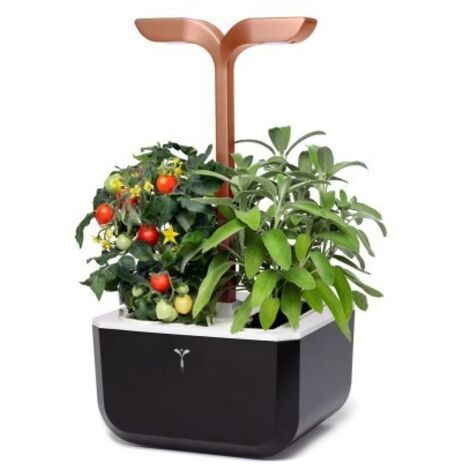 Potager de cuisine - Exky Copper Black - Véritable
