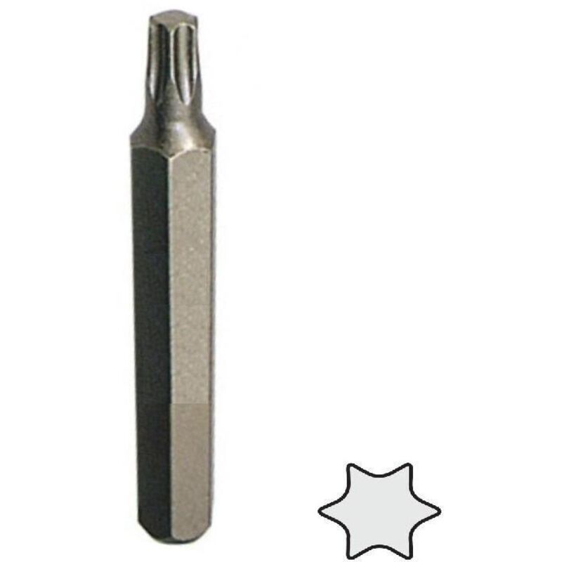 BIANDITZ punta atornillar mango 10mm torx larga punta atornill tx45