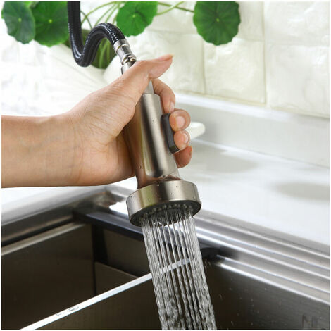 Douchette Evier Pull-Out avec Bouton Tête de douchette Brossé 2 Jets ...