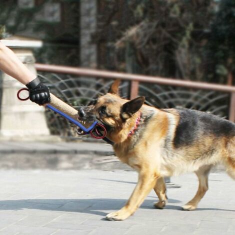 Boudin À Mordre Jouet Pour Chien, 30 cm, 2 Anses,En Tuyaux De Lance À ...