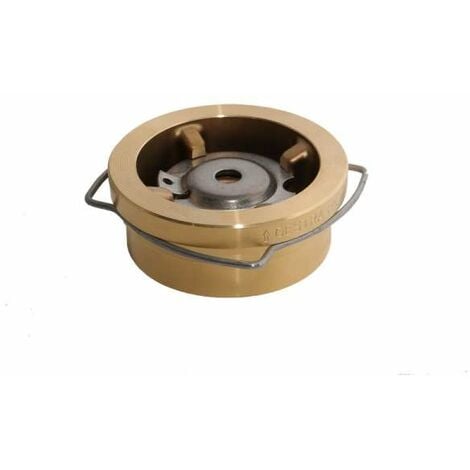 Schwerkraftbremse Rückschlagventil Umlaufsperre Gestra RK 71 DN 40