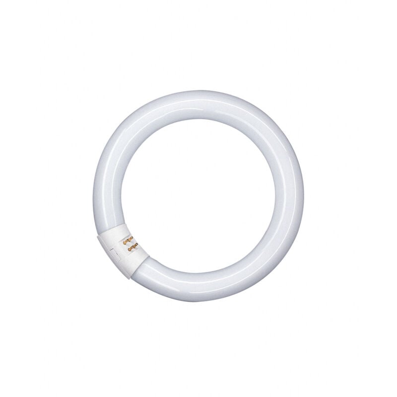 tube fluorescent circulaire - osram lumilux t9 c - 22 watts - g10q - 4000k