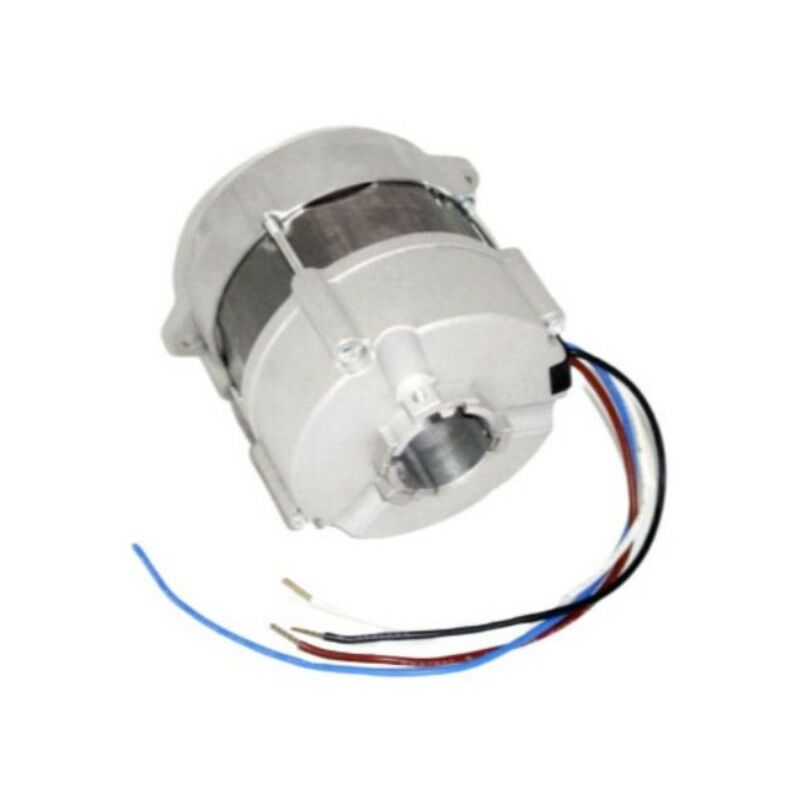 Motor Newtronic 2RS 3RS 4RS