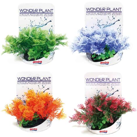Wonder Plant Series F 13cm AMTRA