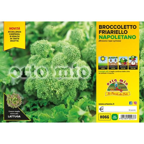ORTO MIO Cime di Rapa Broccoletto Friariello Napoletano
