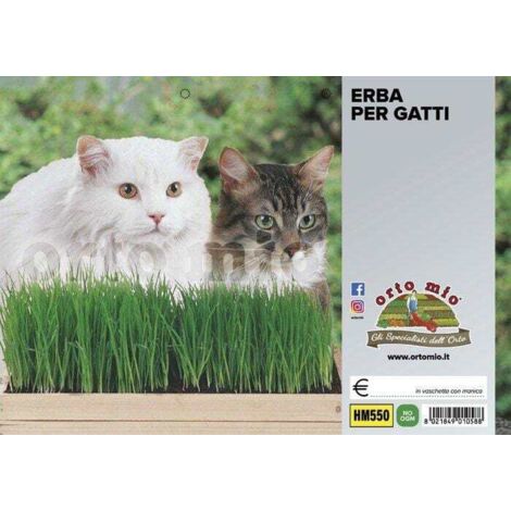 ORTO MIO Erba Gatto (miscuglie di festuche)