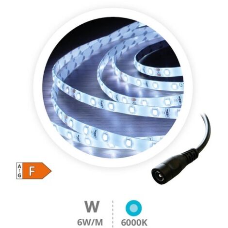 Rollo 5M tira LED 6W/M 6000-6500K 24V