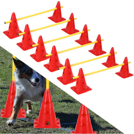 EINFEBEN Ensemble de 12 haies amovibles pour entraînement, haies ...