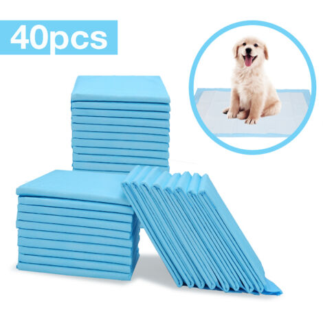SWANEW Tapis Absorbant Chien, 40 Pièces, 60 × 60 cm Alaise Jetable ...