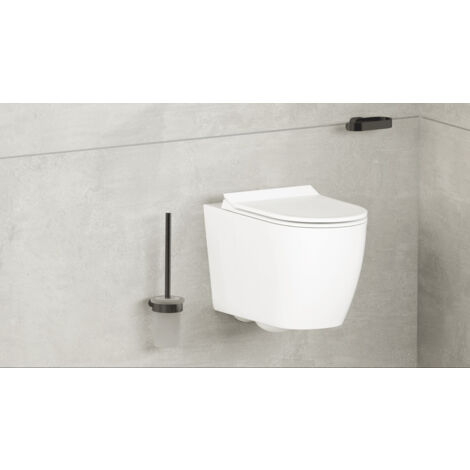 Swiss Aqua Technologies Simply R PVD Wand-WC-Bürste mit Glashalter ...