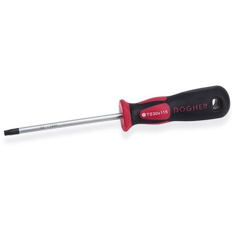 S2 Tournevis professionnel, Torx Security TS20x100 mm DOGHER 341-TS20