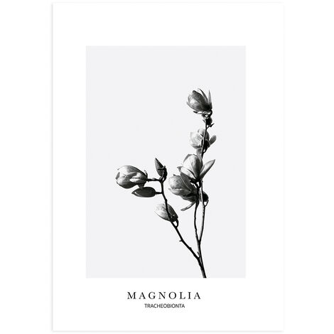 Poster Magnolia Sans cadre -A4