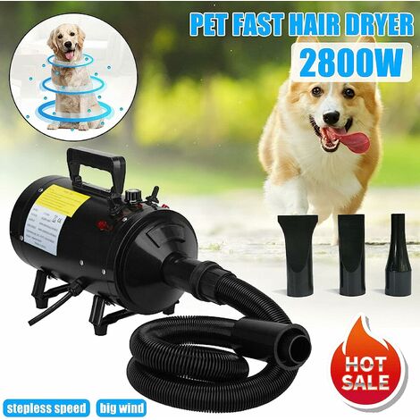 2800W Dog Hair Dryer Blaster Pet Grooming Hair Dryer High Velocity ...