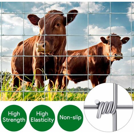 50m Roll Stock Fencing L8/80/15 Hot Dipped Galvanized Wire Mesh Sheep ...