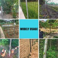 Green Metal Garden Fencing 0.9 x 10m PVC Coated Steel Wire Fence ...