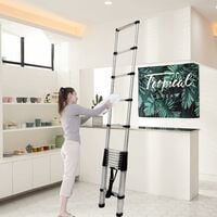 3.8M Telescoping Ladder Telescopic Extension Ladder with Locking ...