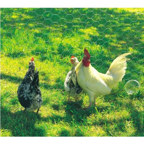 Malla metálica triple torsión "Galvanex 25" - 0,50 x 10 m/25 x 0,8 mm ...