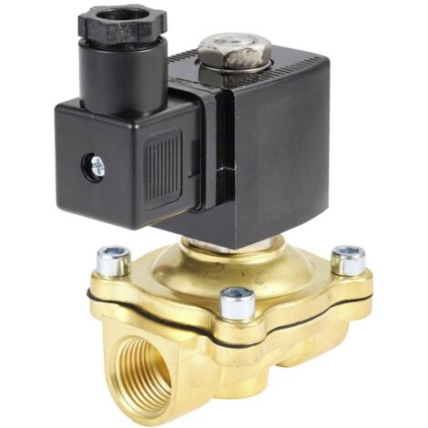 TRU COMPONENTS TC-2W3112GBN-DC24V Valvola servo-assistita 24 V/DC G 3/8 ...
