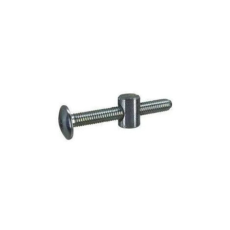 Vis 6x70mm + plot d'assemblage taraudé 10x14mm en acier zingué, 4 pièces.