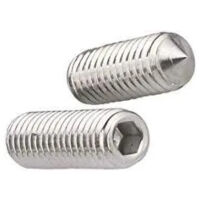 Vis pointeau x 2 diamètre 5 mm longueur 8 mm avec clé allen Alpertec