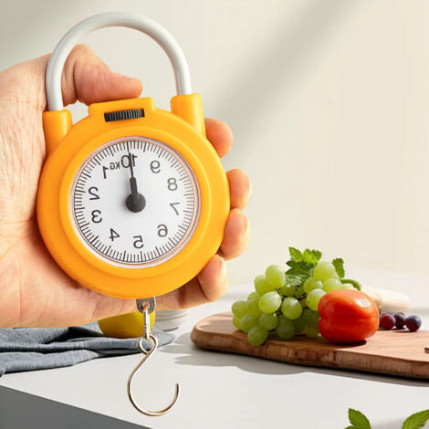 Handheld Scale High Accuracy Portable Kitchen Spring Scale 22lb Load ...