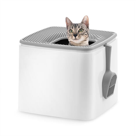 Paracetamol Fã¼r Katzen